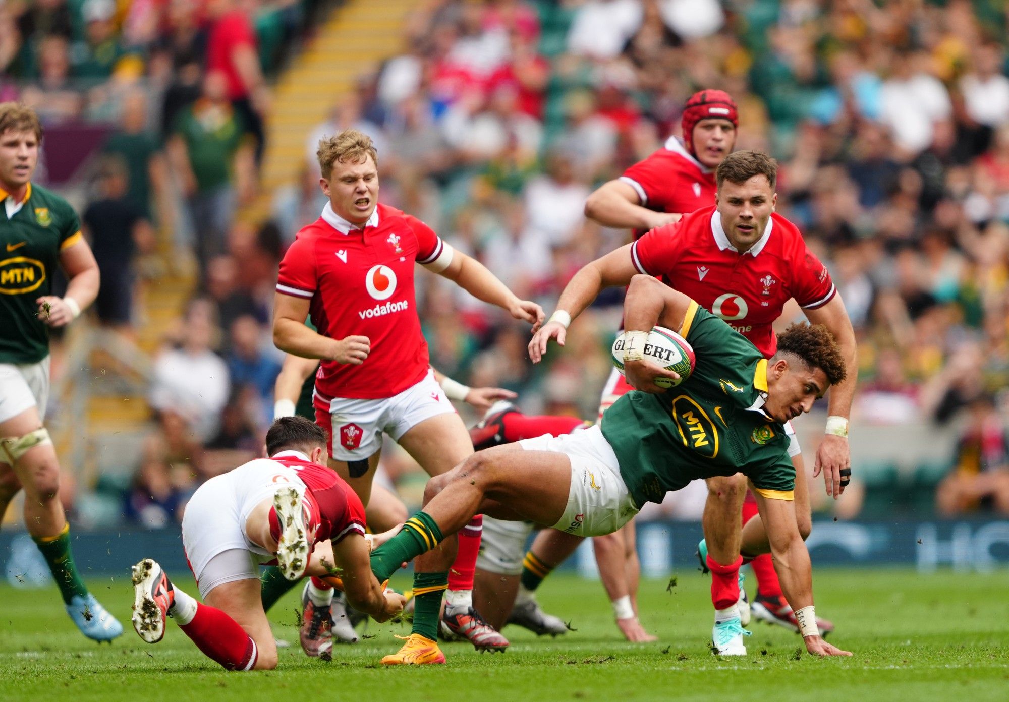 Selecting a Springbok XV: Fresh faces, bold choices for Murrayfield