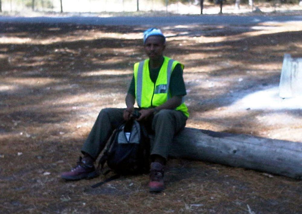 ‘Baboon ate our lunch as monitor watched’