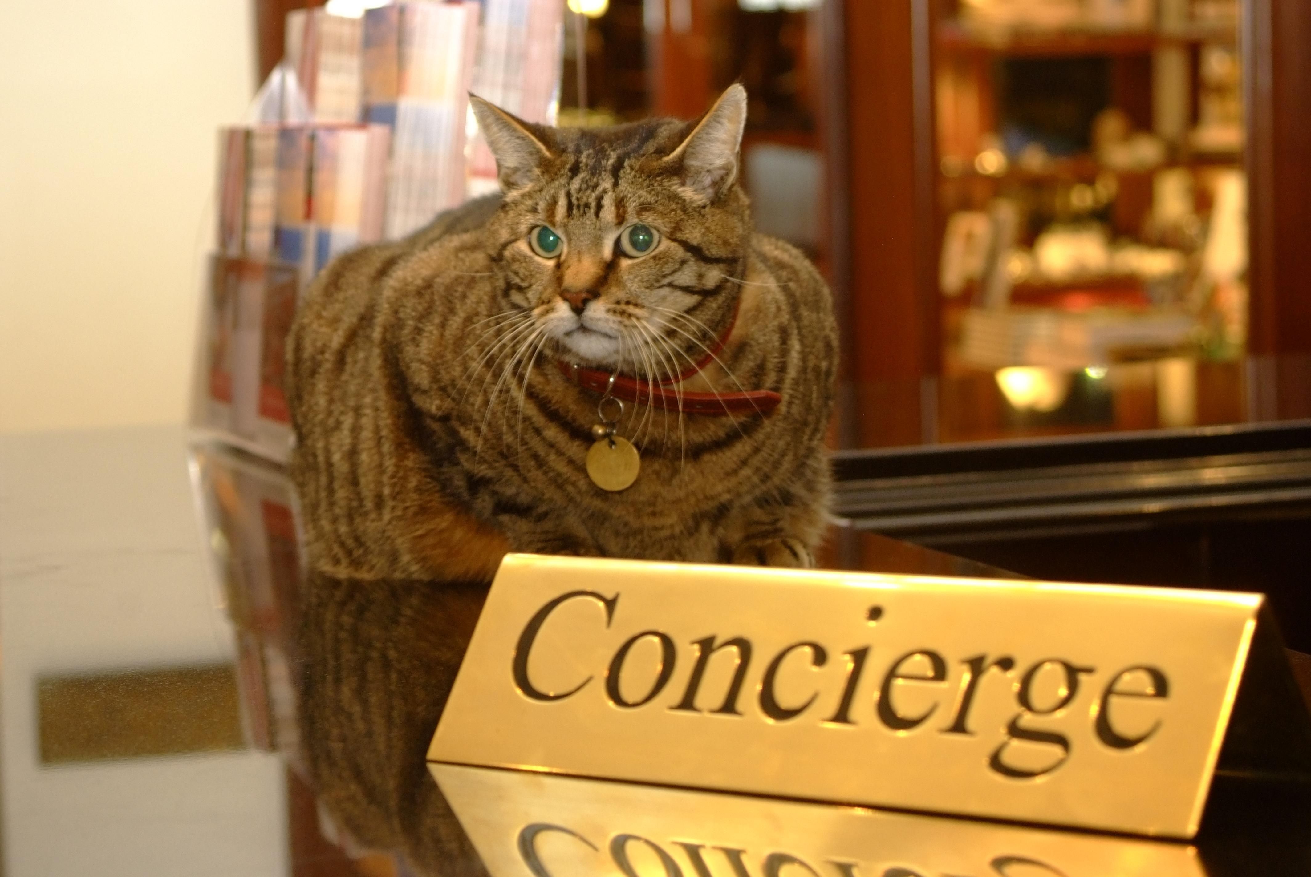 Tributes pour in for beloved Skabenga