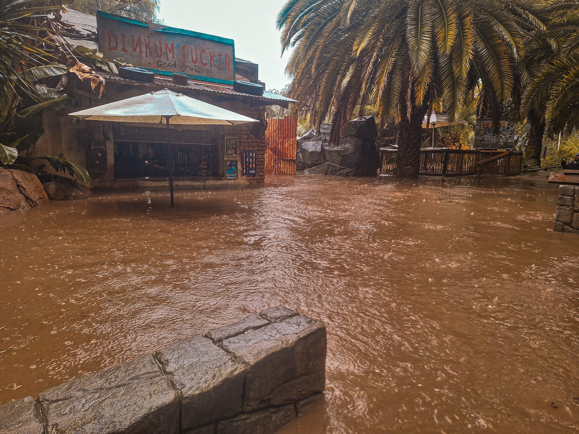 Eastern Cape flood report estimates damage at R500m