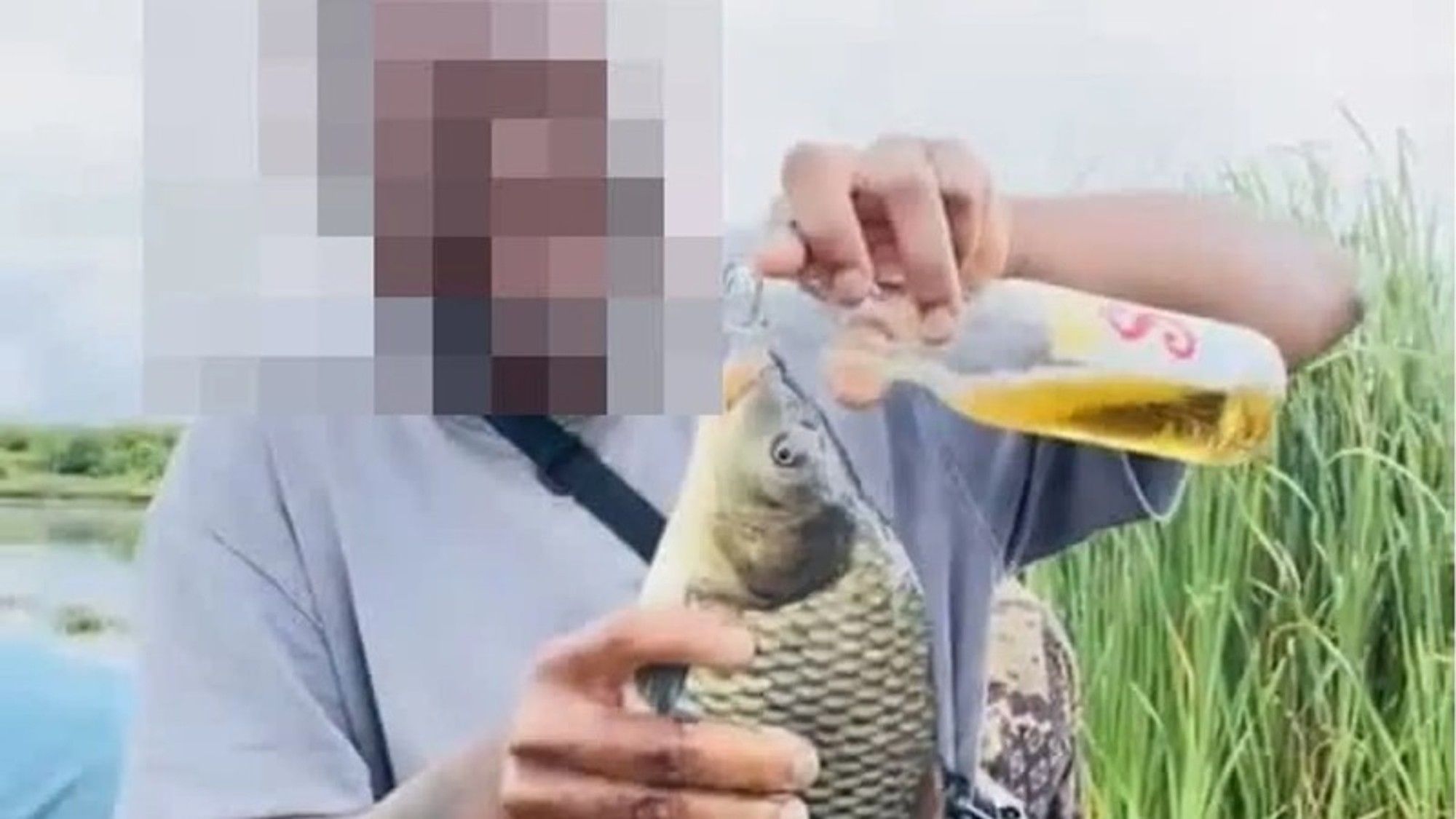 NSPCA investigates shocking fish abuse: Outrage after man force-feeds a ...