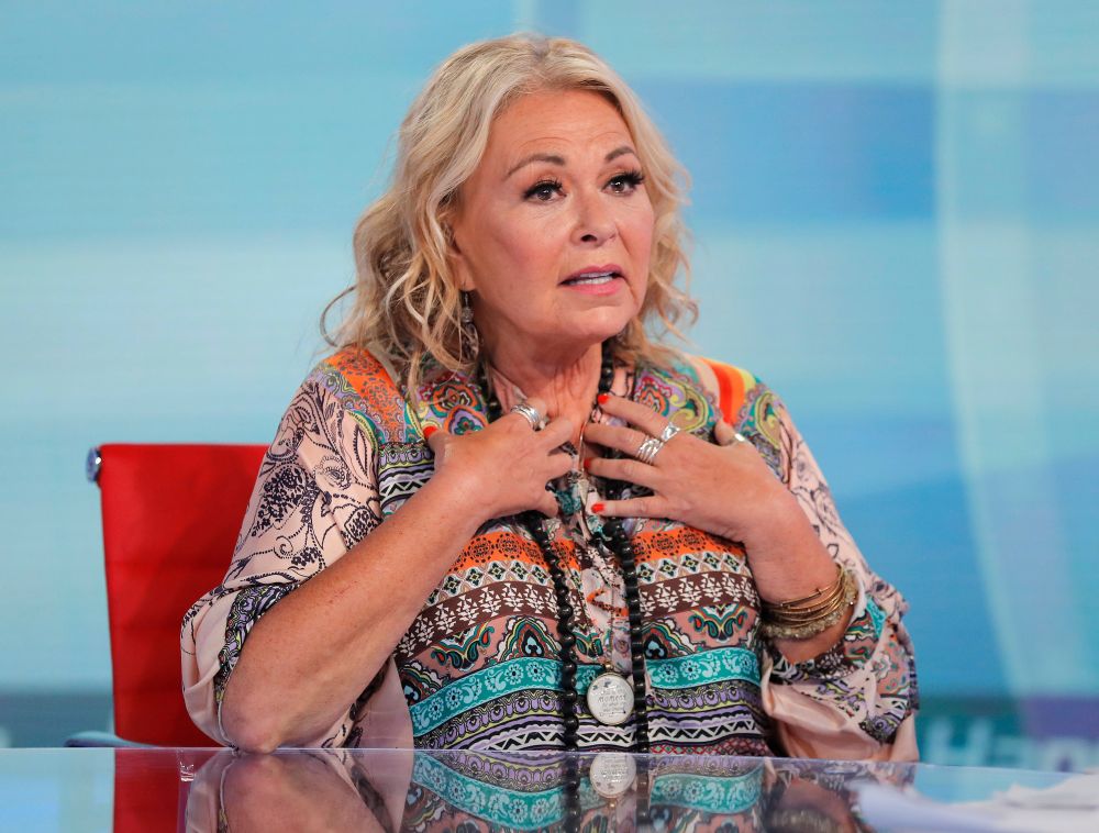 Roseanne Barr says her controversial tweet was a 'misunderstanding'