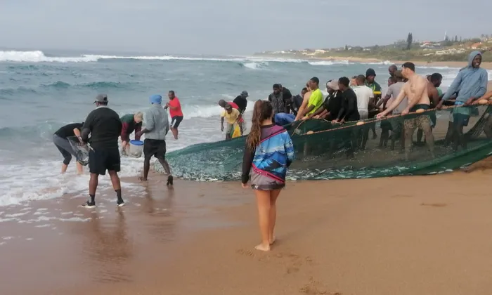 Sardine run heats up along KZN's coast, but patience is needed for ...