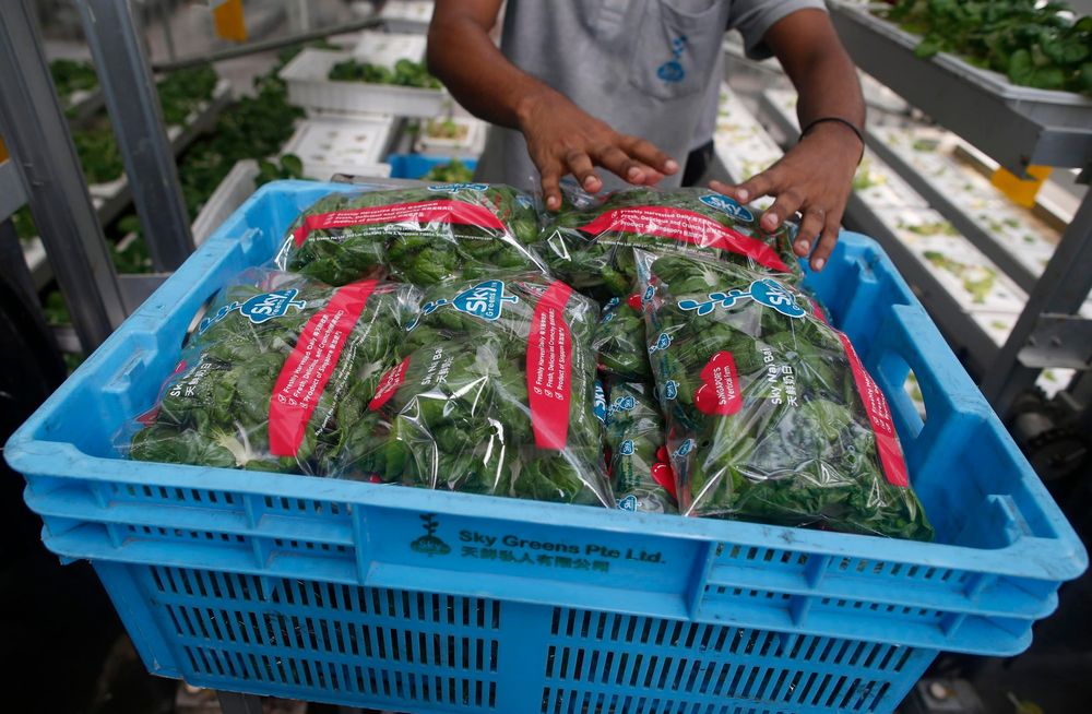 Alarming decline in SA’s food security