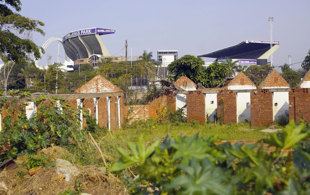 Sharks urge City to clean up