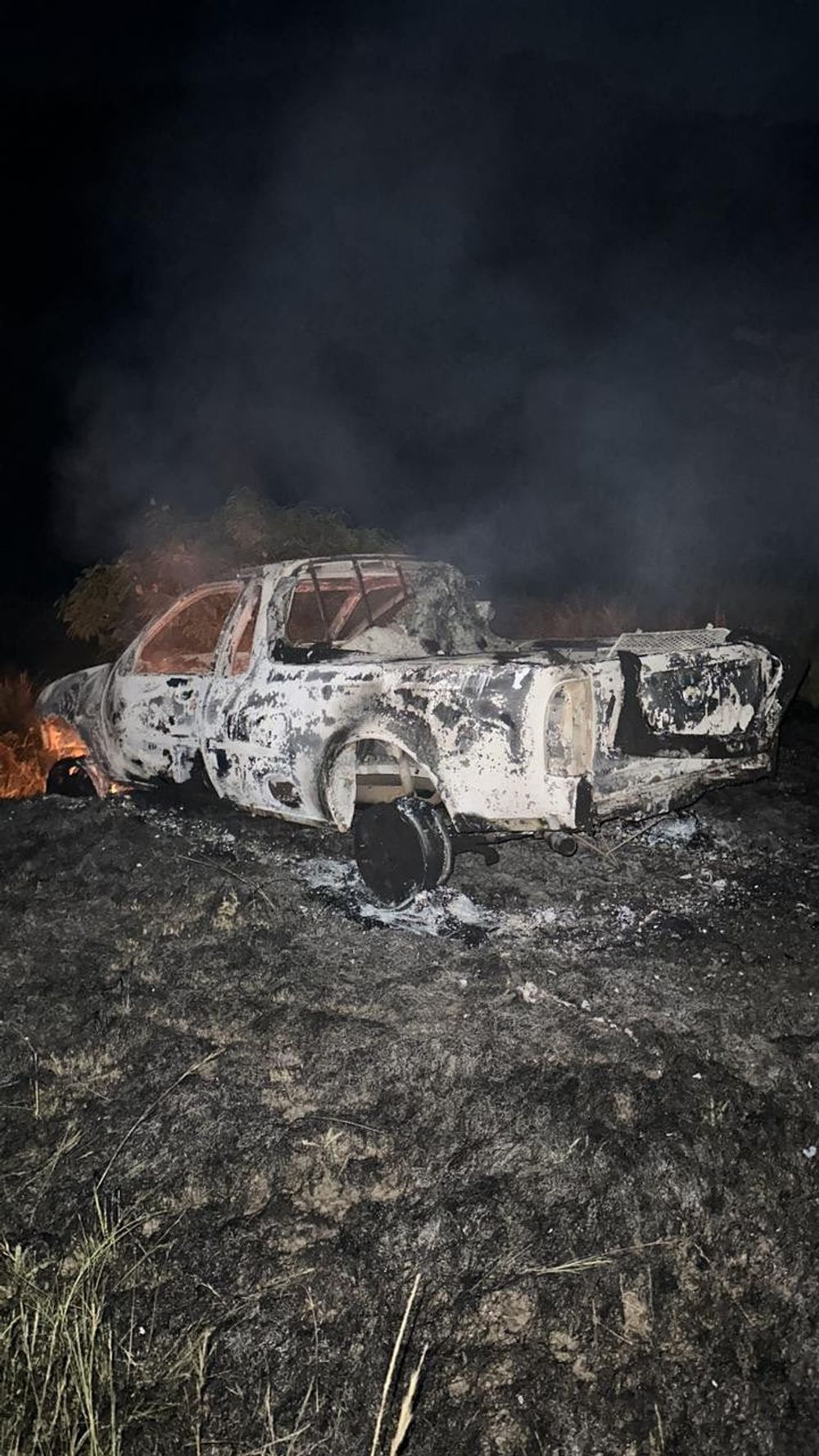 Public outrage over torching of three dogs and SPCA vehicle