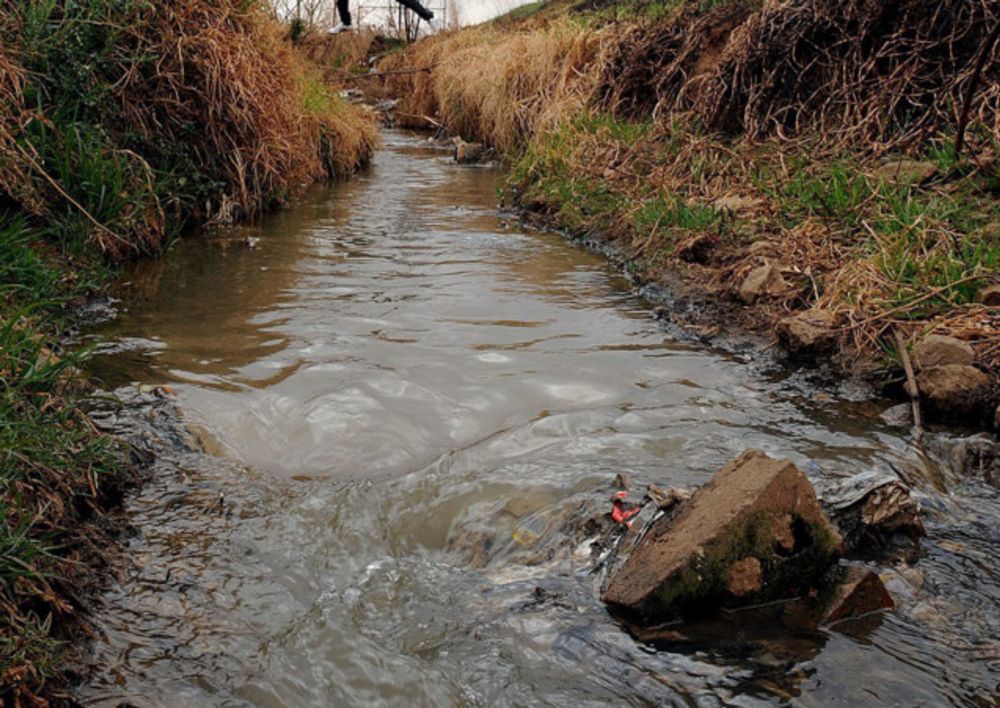 Man’s body floating in stream