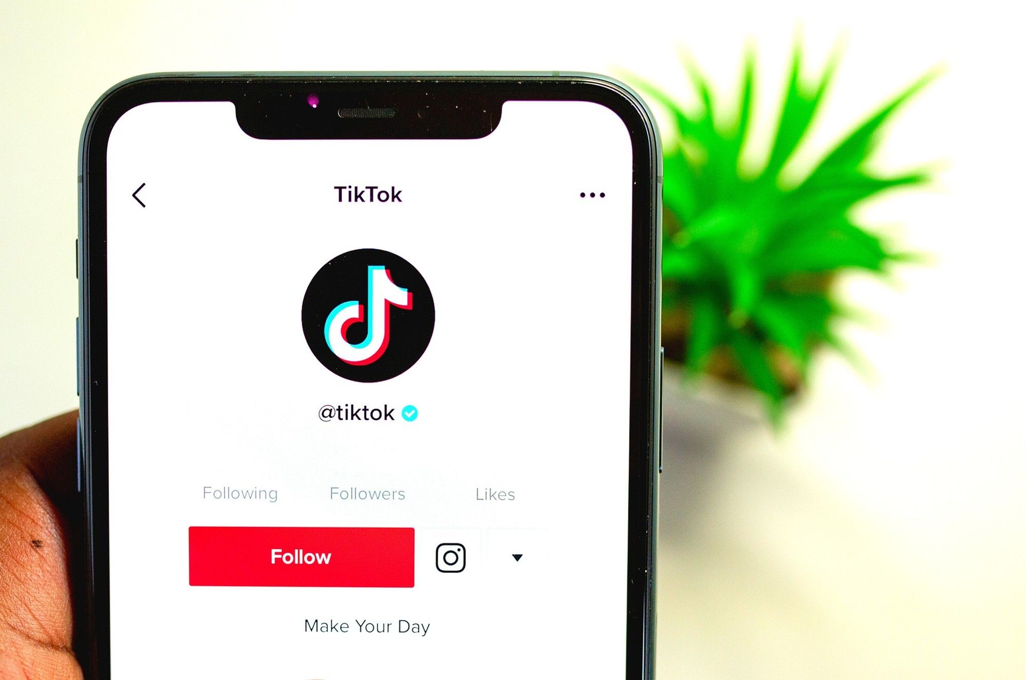 TikTok star reportedly earns R577 000 a month from letting people wake ...