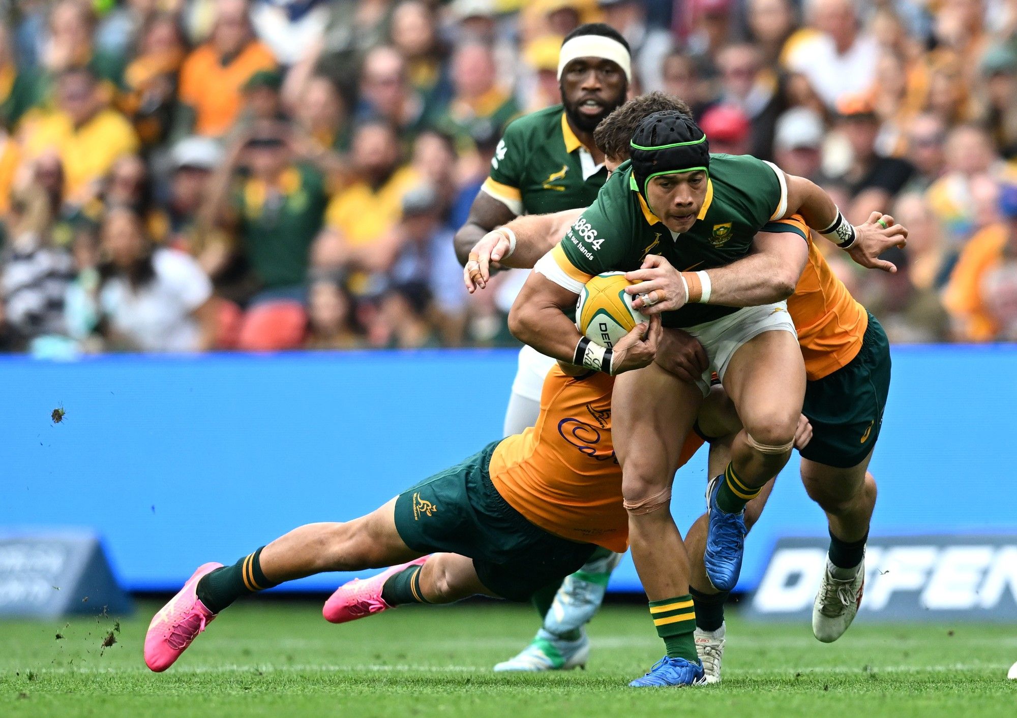 Springboks streaking ahead, but don’t write off All Blacks