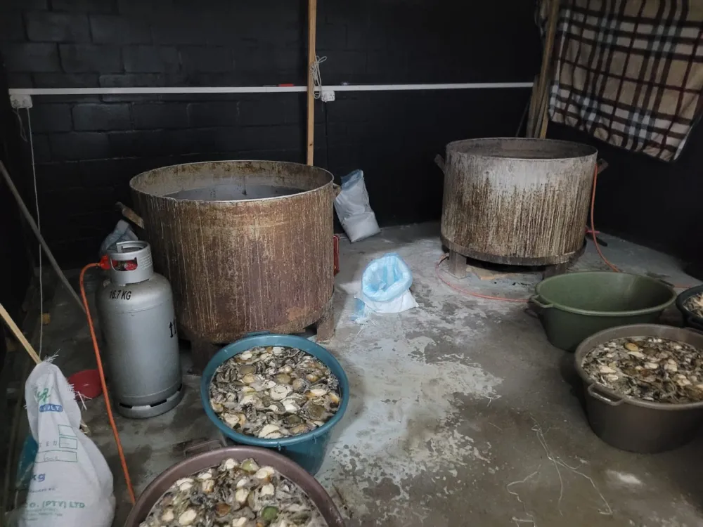 Smuggling arrests snare 9 suspects and abalone worth R20m