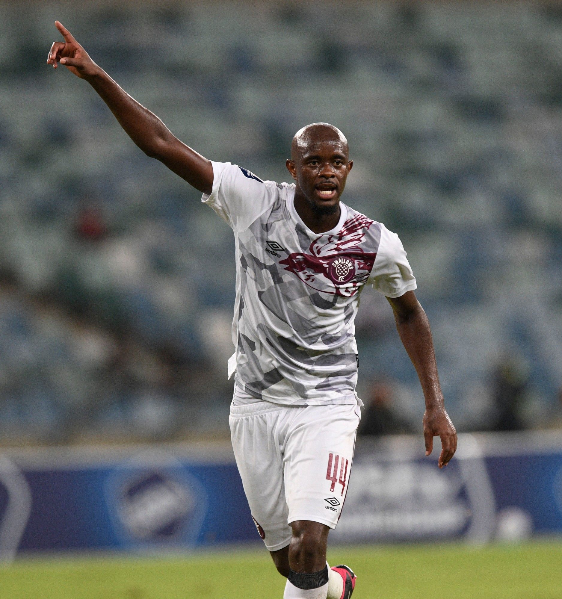 UMngonyama uthole ikhaya elisha Osuthwini