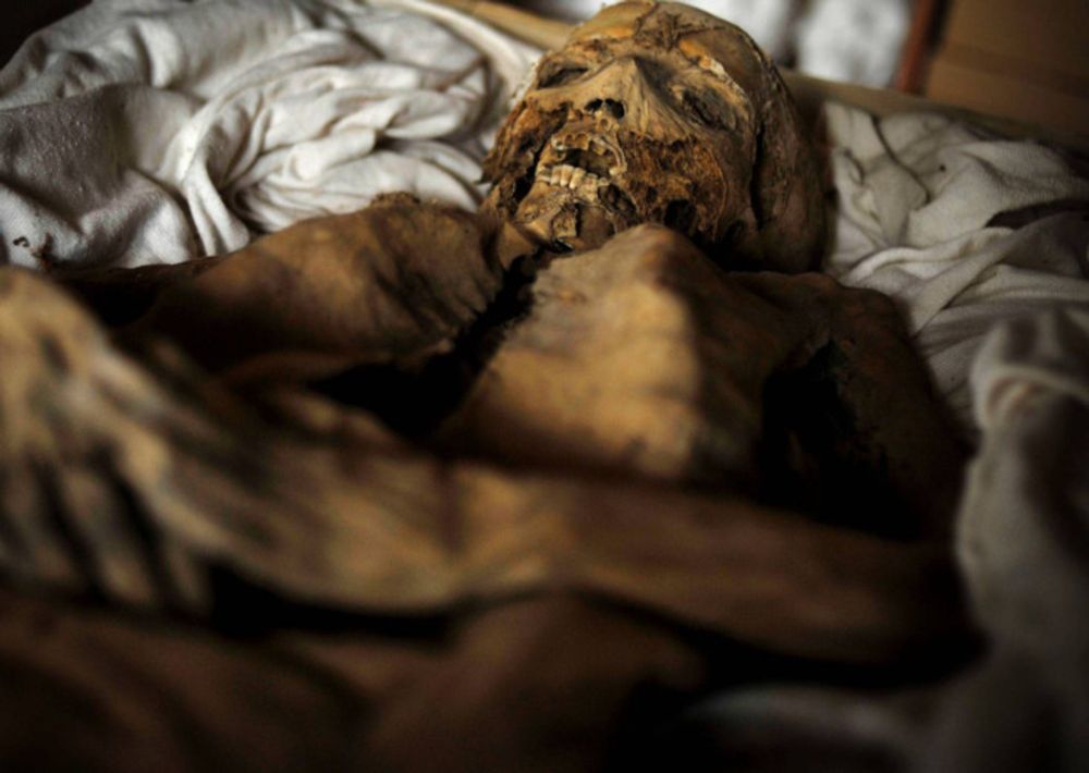 Mystery mummy found in German attic