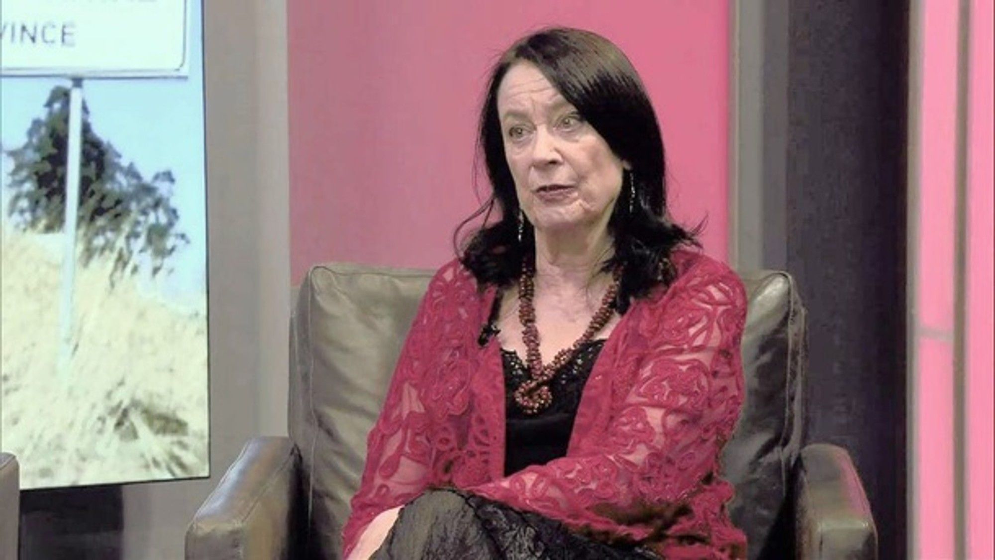 Mary De Haas willing to testify before Madlanga Commission, in ...