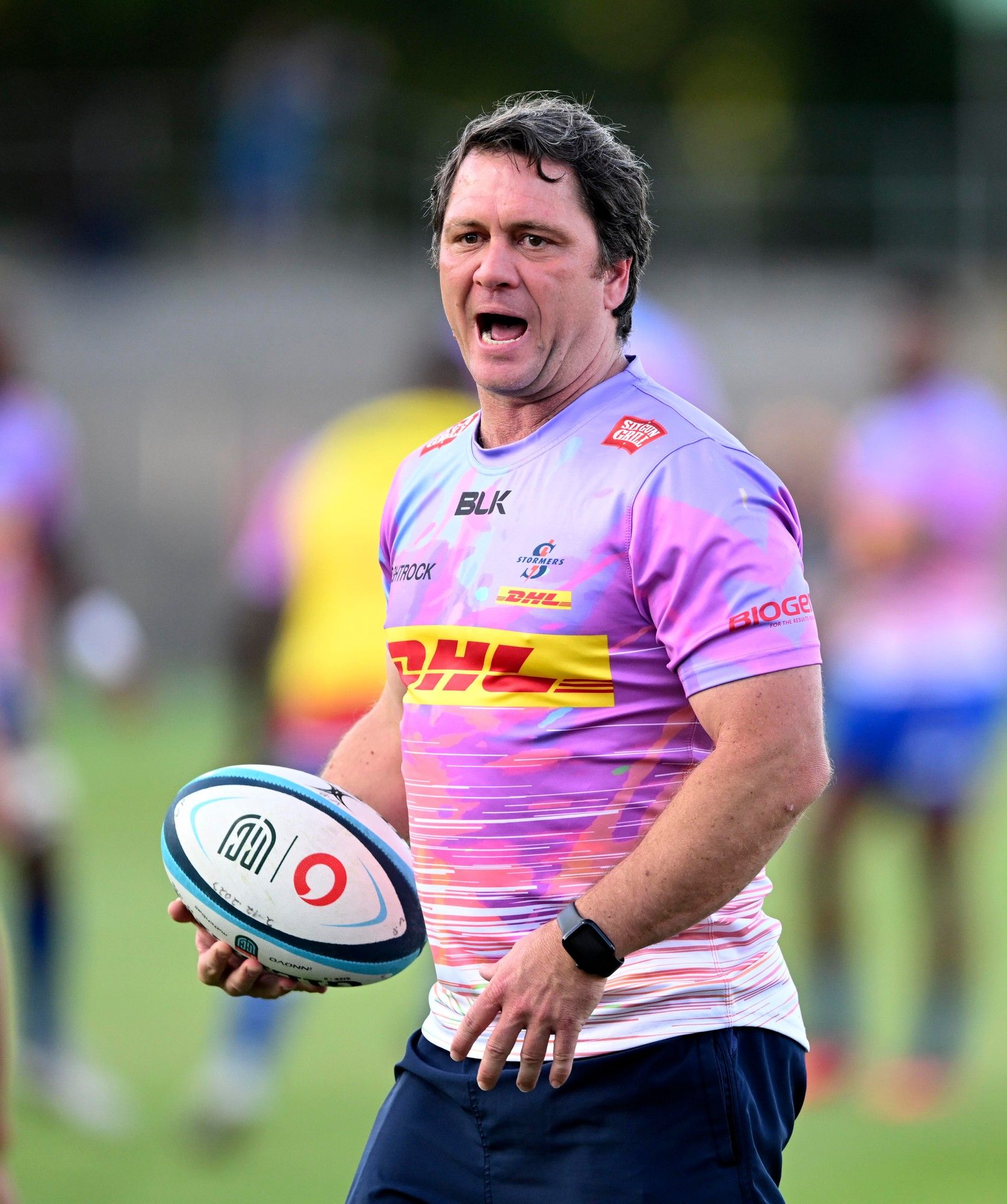 Western Province rule out Springboks boost