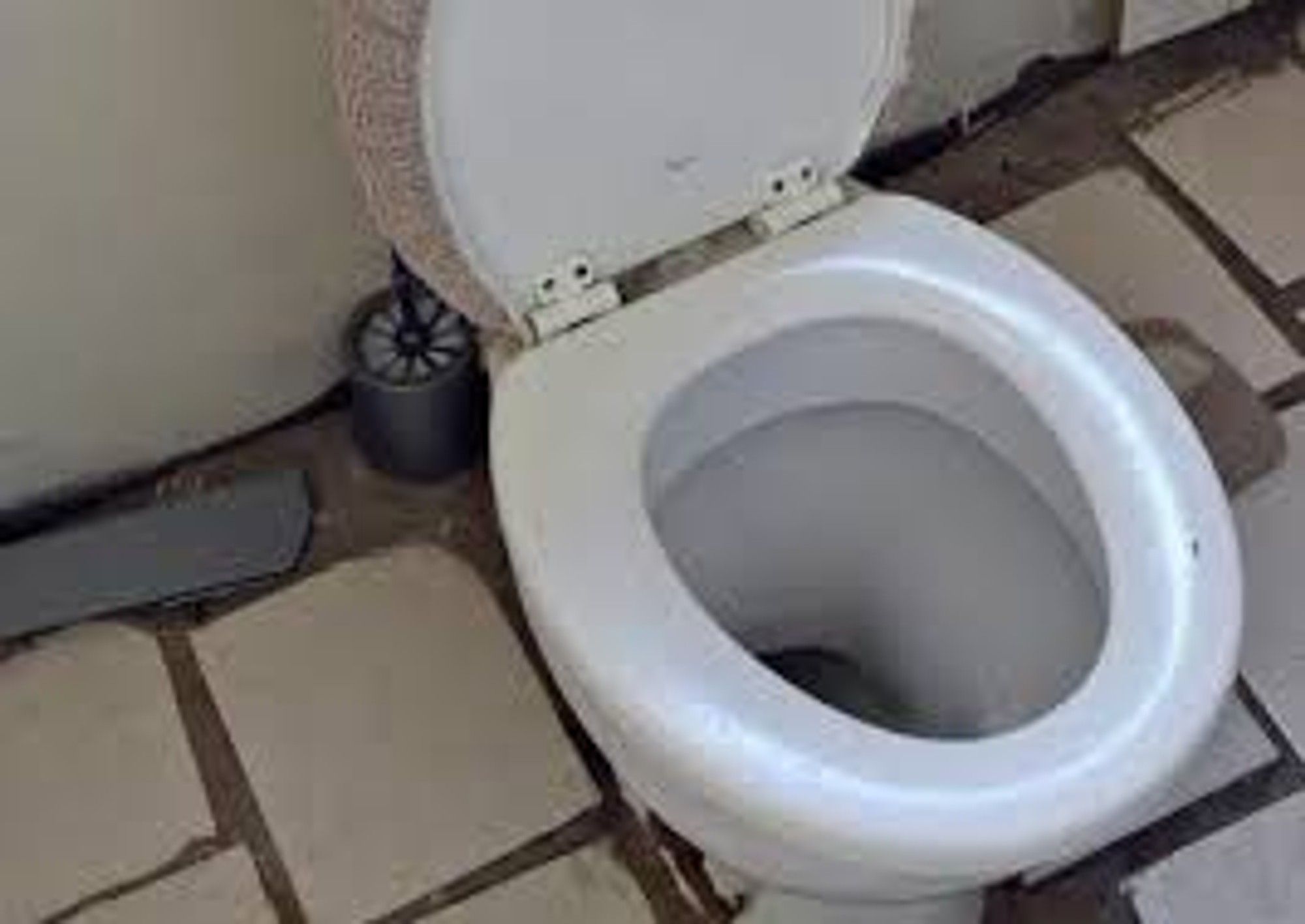 Dual water system best