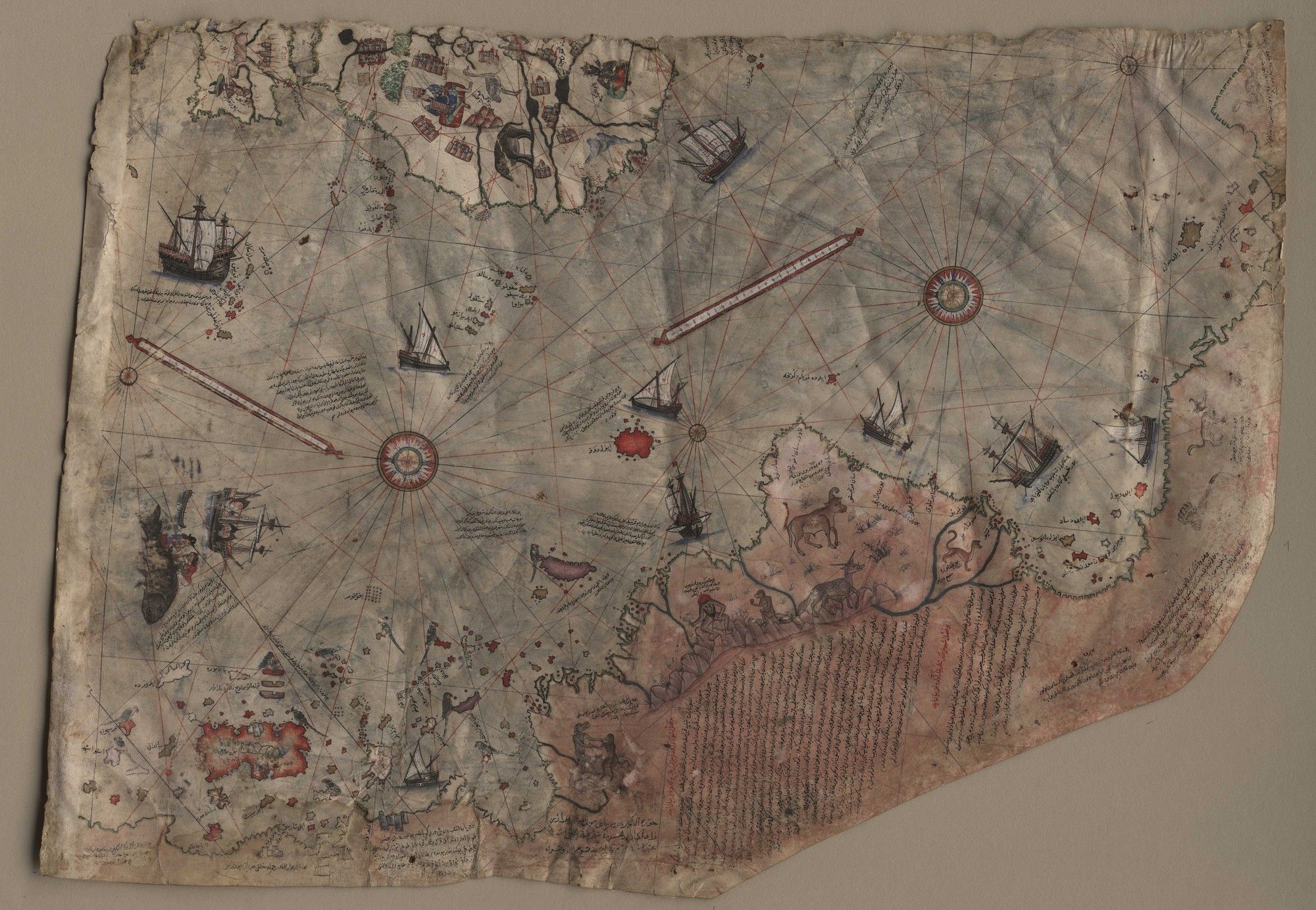 The accuracy of Piri Reis’s maps of Africa