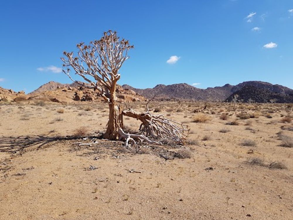 South Africa’s ecosystem hangs in the balance, for better or worse