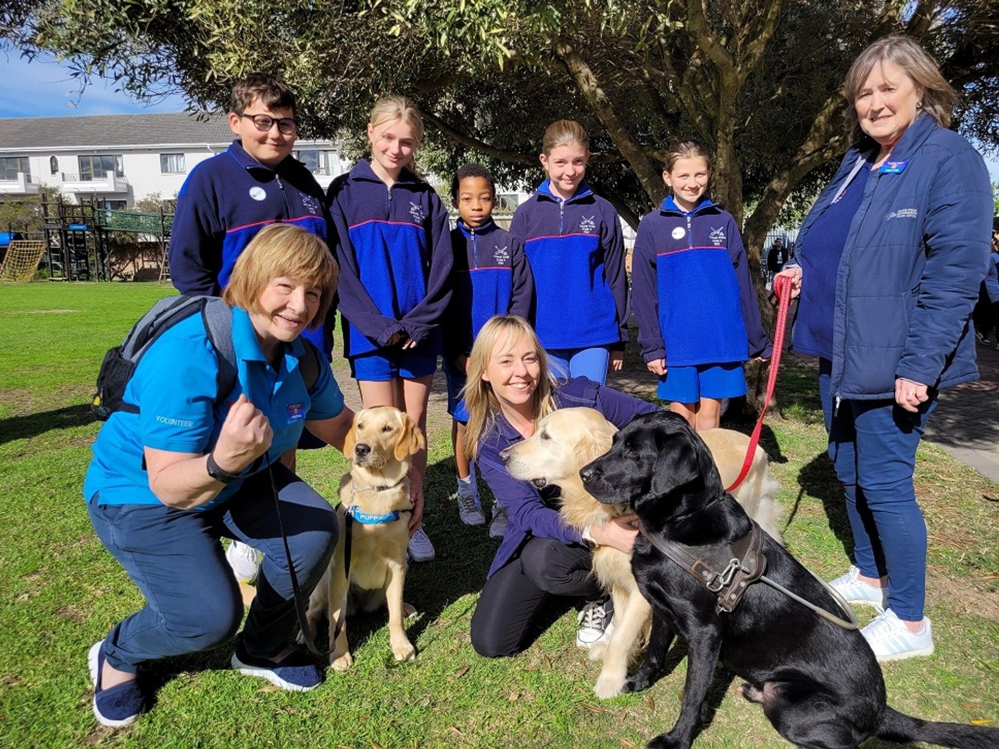 Guide dogs visit Cannons Creek