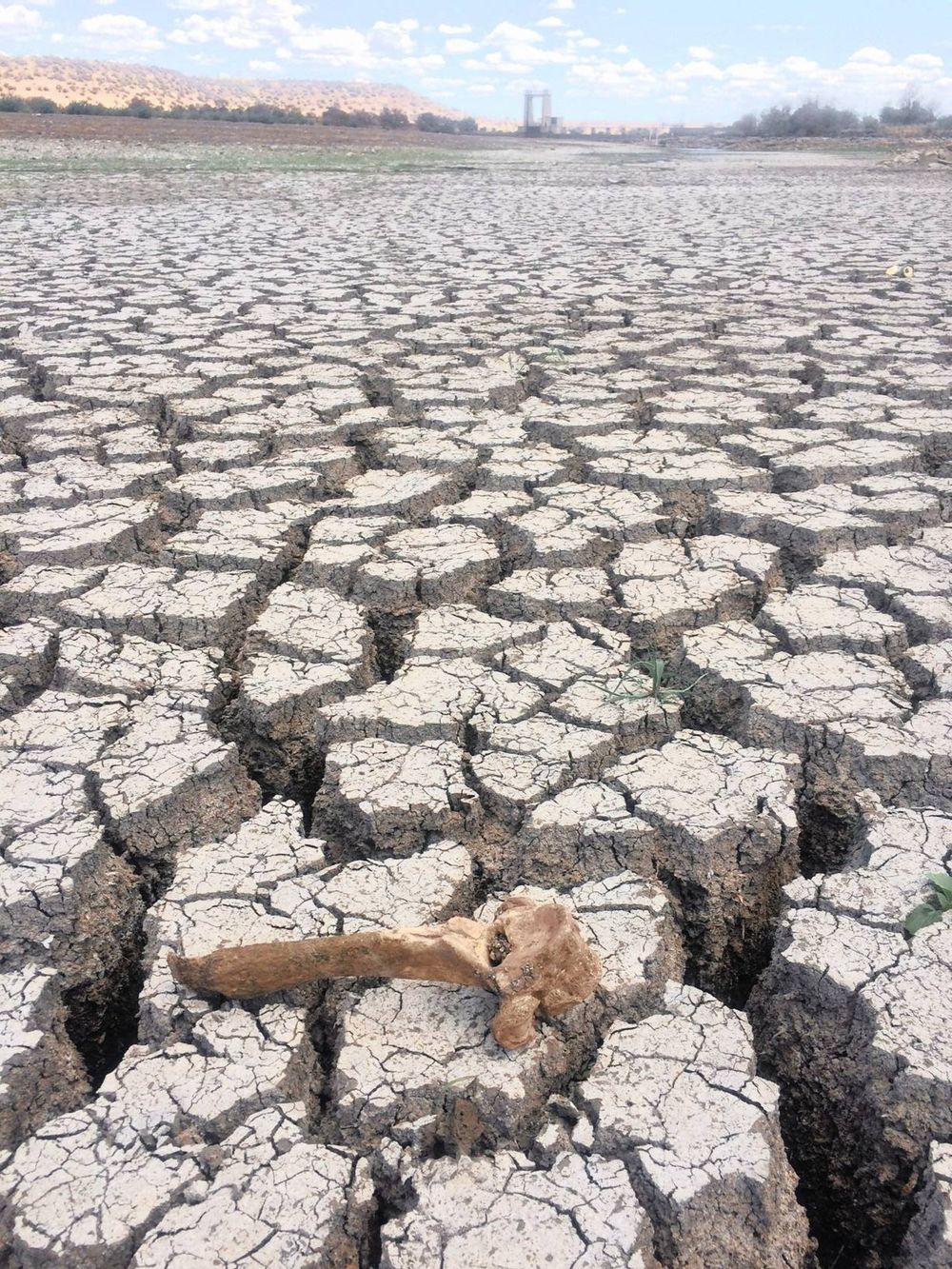‘Drought is everyone’s problem’