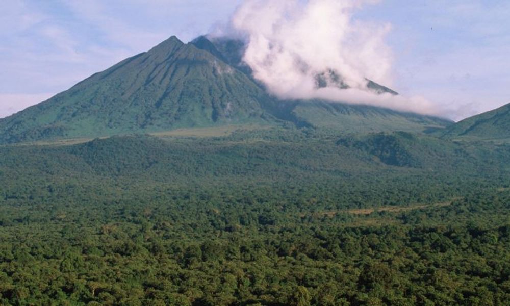 Virunga National Park says ranger killed in militia attack