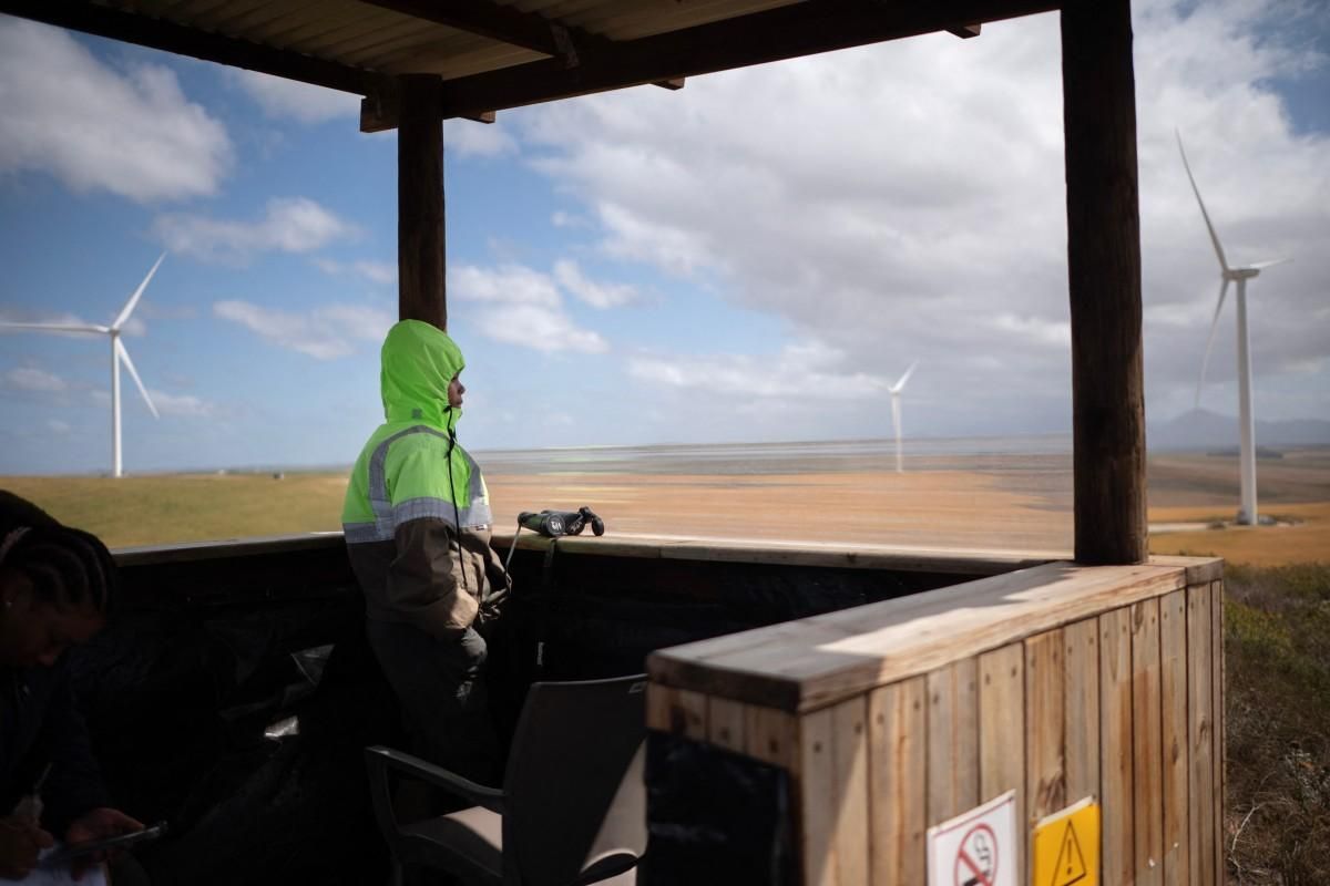 South Africa seeks to save birds from wind turbine risks