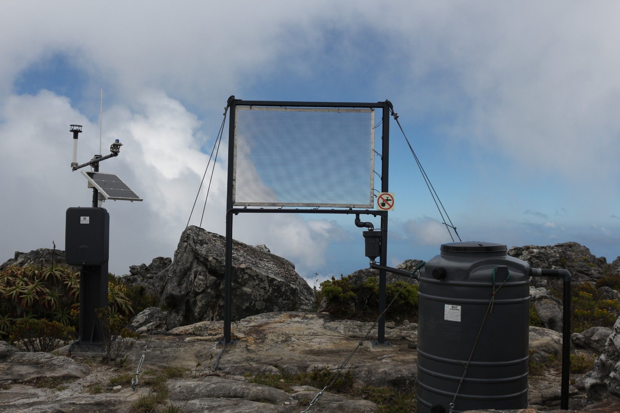 City of Cape Town reevaluating fog harvesting plan for Table Mountain