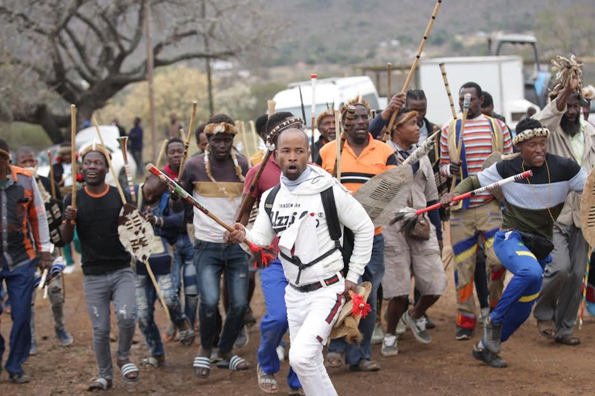Inyosi ichaza kabanzi ngebhubesi elibulewe yiSilo