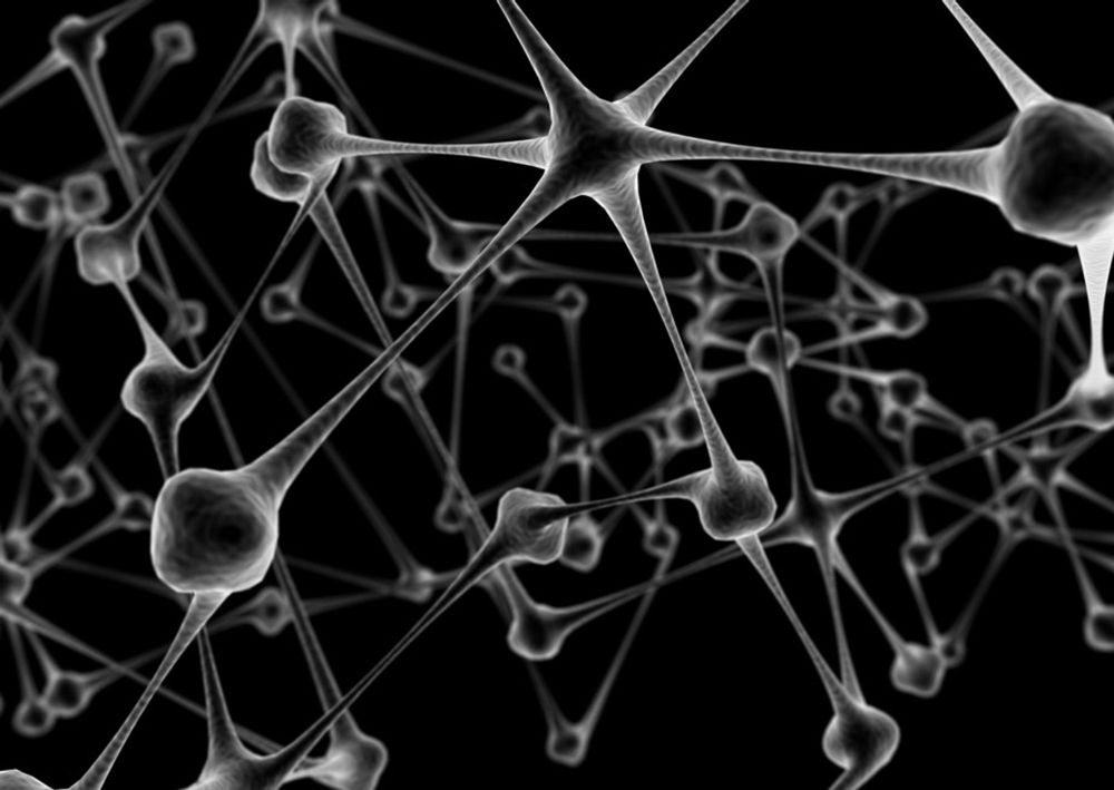 How your brain tells you who to trust