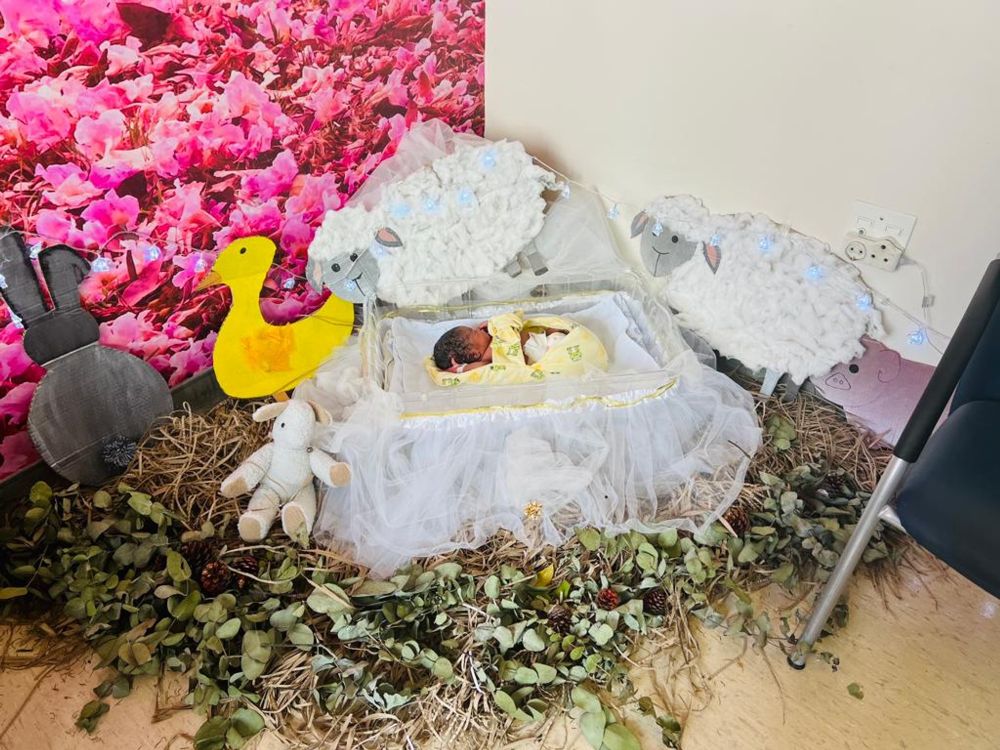 188 babies born on Christmas Day in the Western Cape