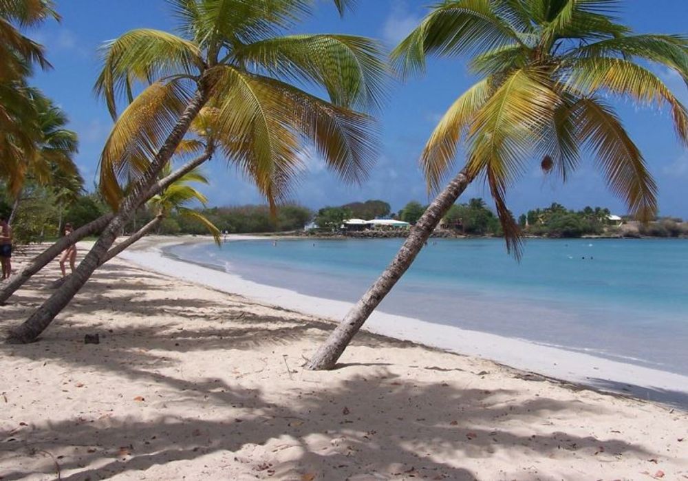 Caribbean Tourism calls for stronger US ties