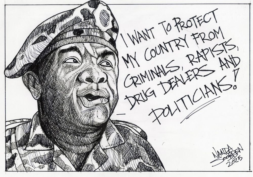 What to make of the Mkhwanazi debacle