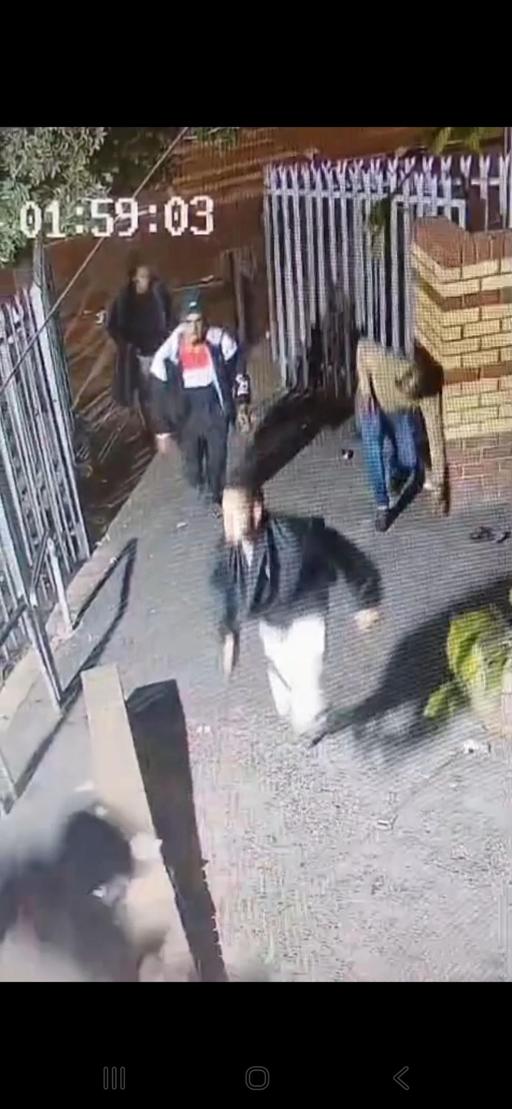 WATCH: Video captures shocking axe attack on police officer in Delft