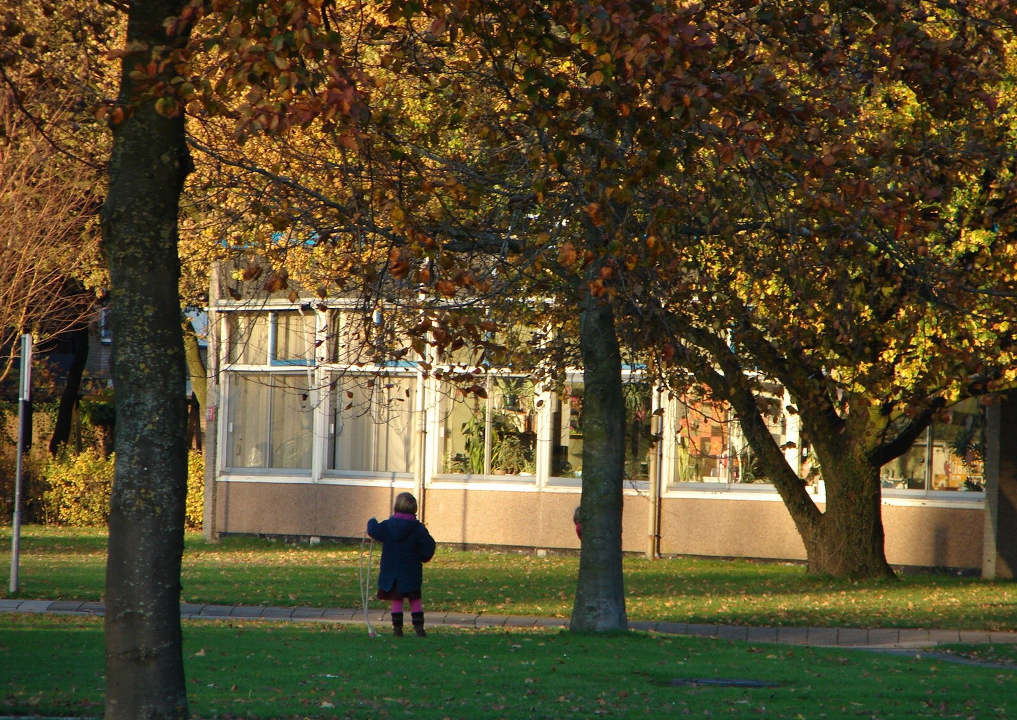 School bullying casts a long shadow