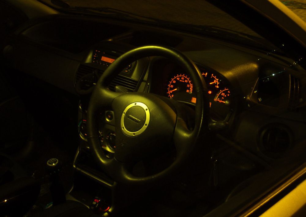Metro cop foils car theft