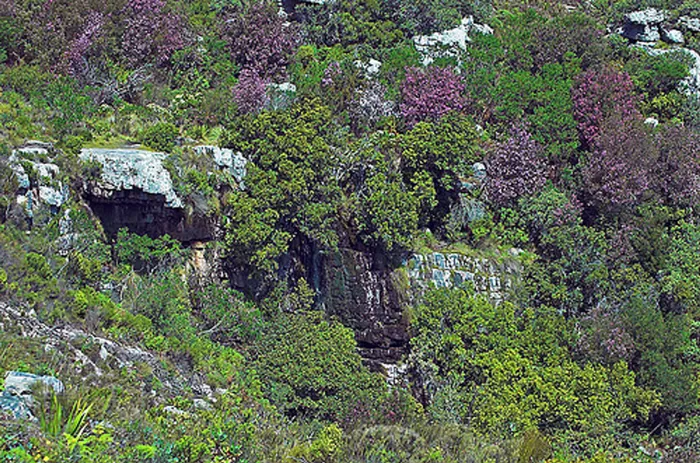 Silvermine walk on the wild side