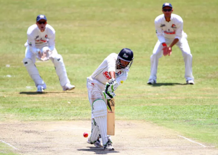 Dolphins in trouble against Cobras