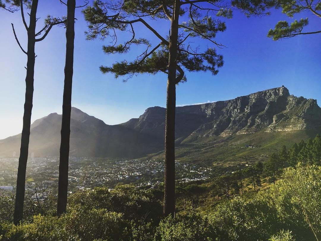 'Robber' arrested on Table Mountain