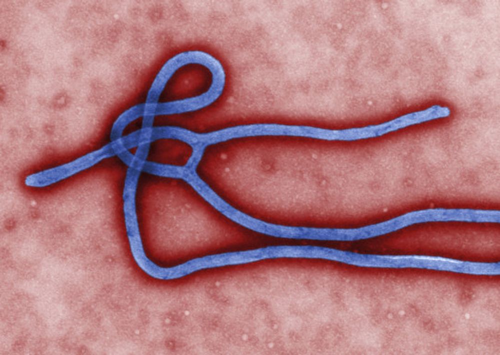 ‘Botswana blocks copper trucks on Ebola fears’