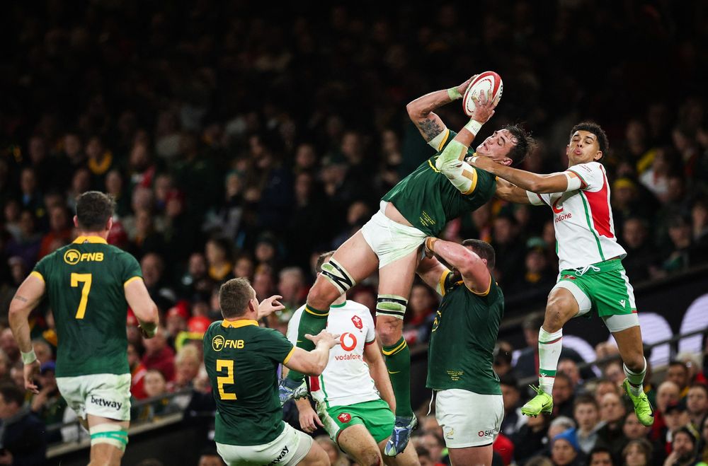 Springboks overpower hapless Wales to end magnificent 2024 in a high