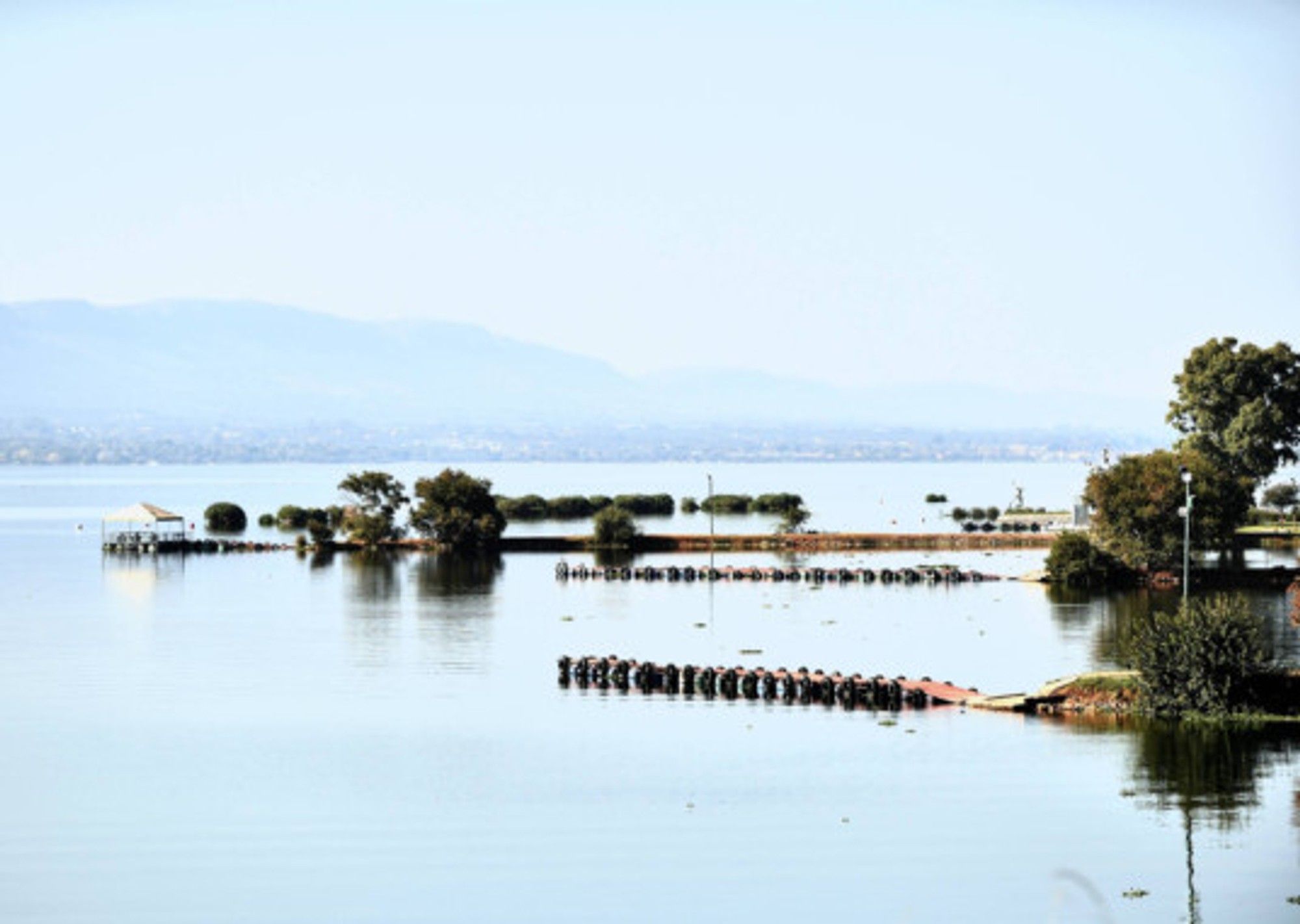 Hyacinth at Hartbeespoort Dam signals the slow death of our environment