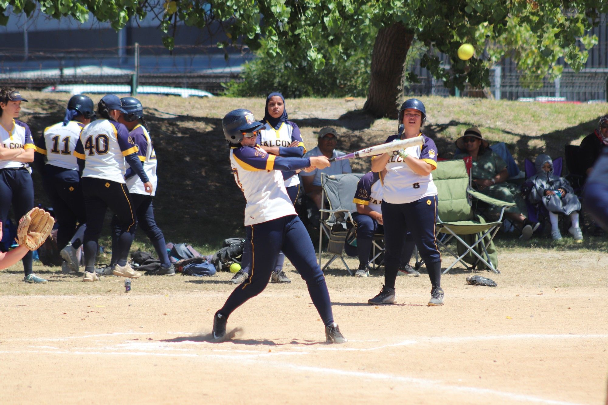 Silvertree and Falcons face-off in softball thriller