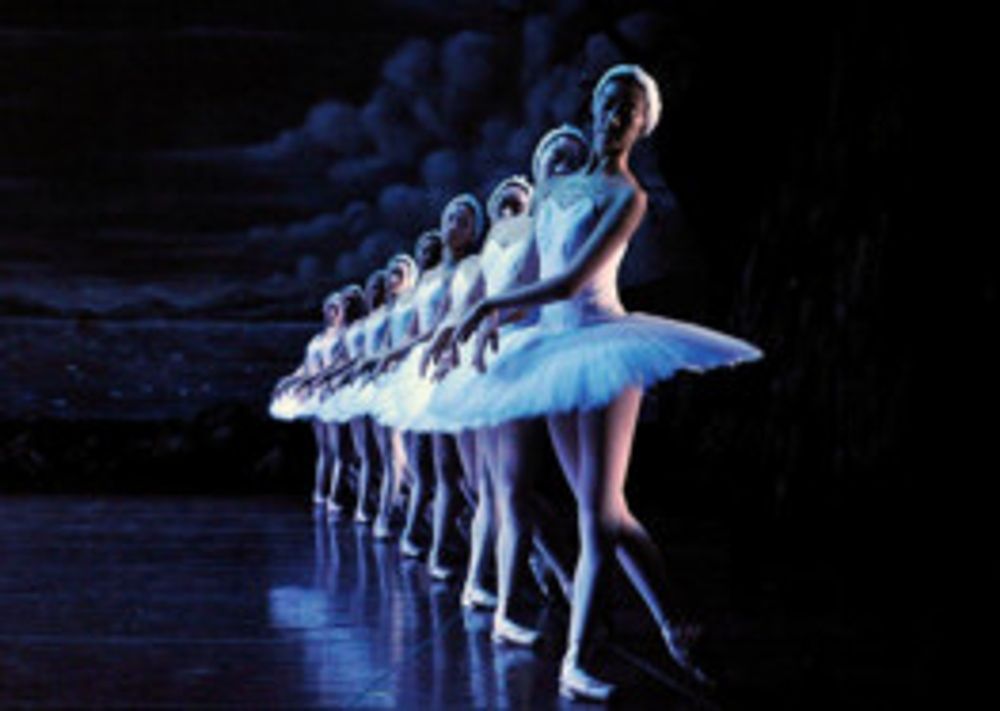 Korean artistry straight from tutu heaven