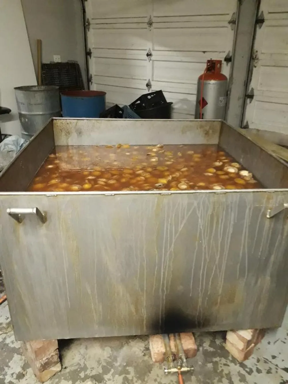 Five nabbed with abalone and equipment worth R3.5 million
