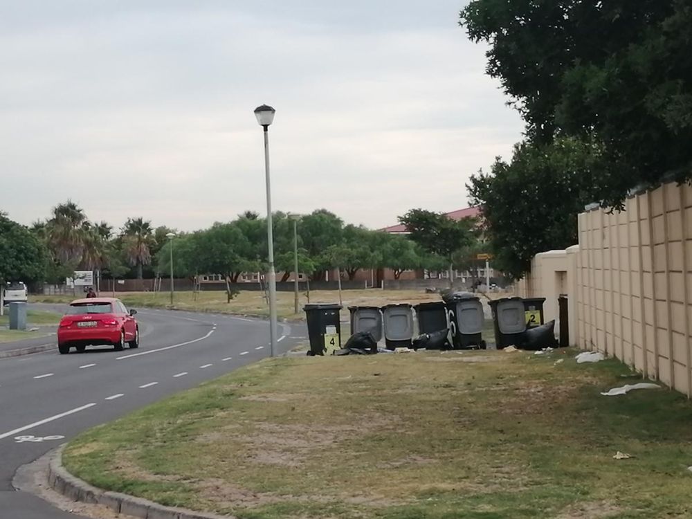Call for residents to santise their bins before collections