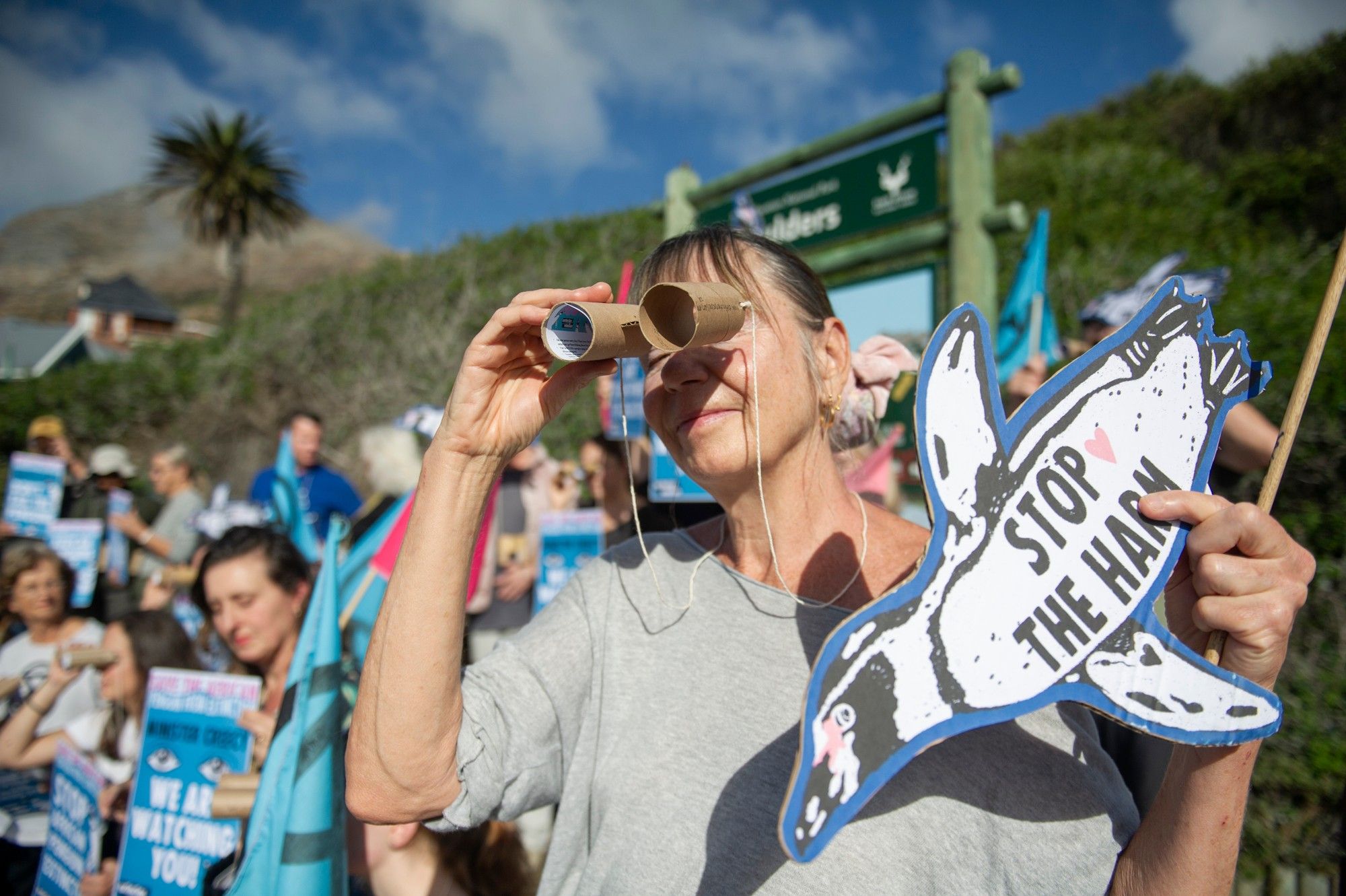 BirdLife South Africa and SANCCOB challenge government on African ...