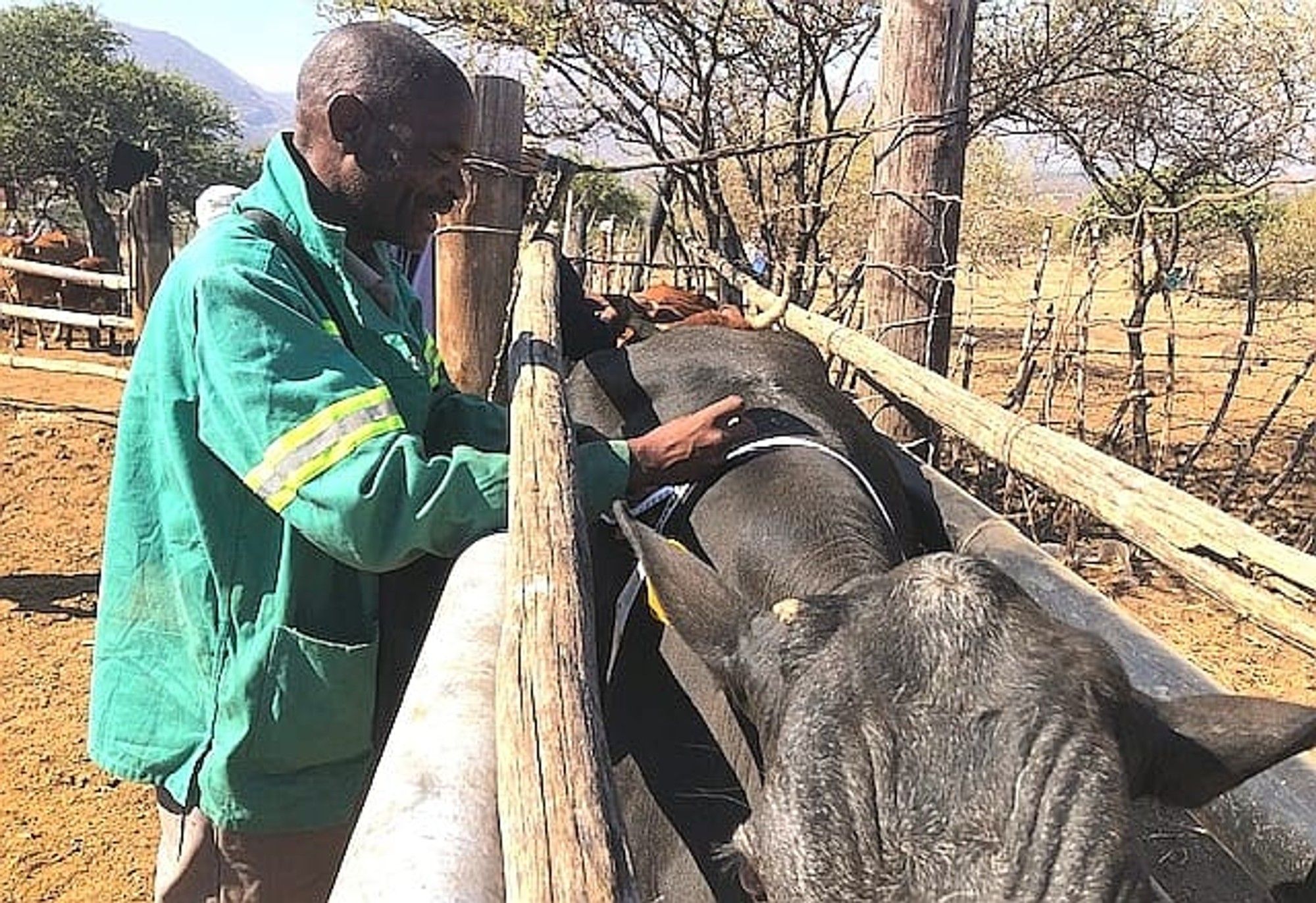 New training programme empowers small-scale livestock farmers