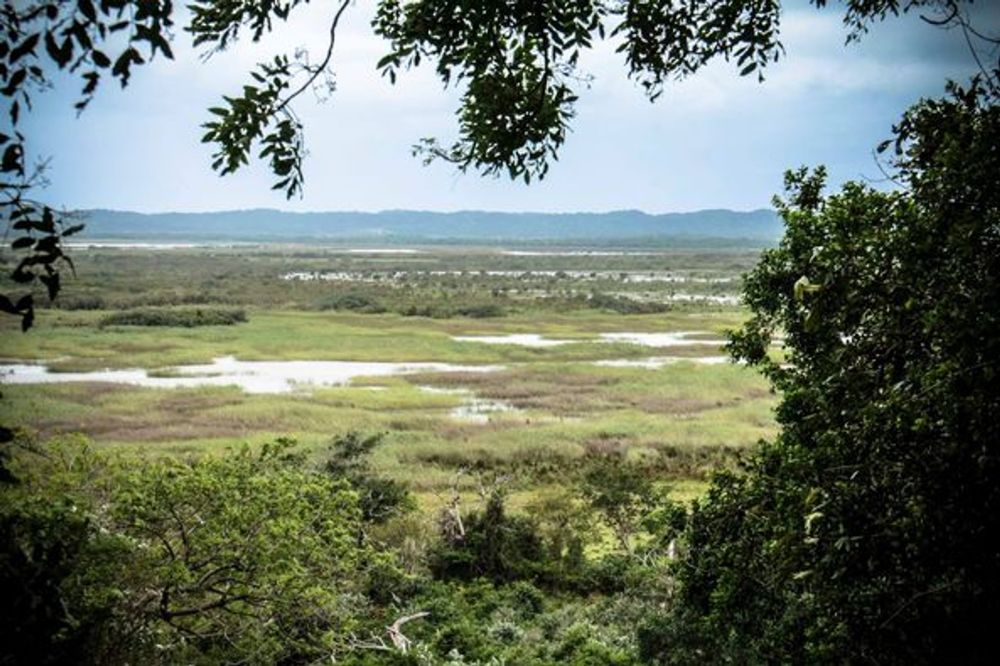 Lake St Lucia estuary mouth opened - what happens next