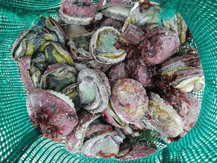 Suspected abalone poacher nabbed on Clifton's 1st beach