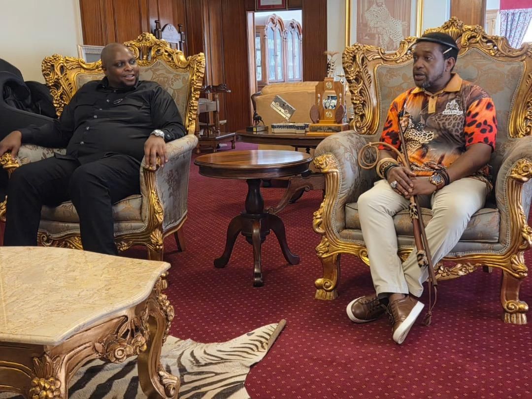 Floyd Shivambu's Mayibuye consultative forum releases draft manifesto