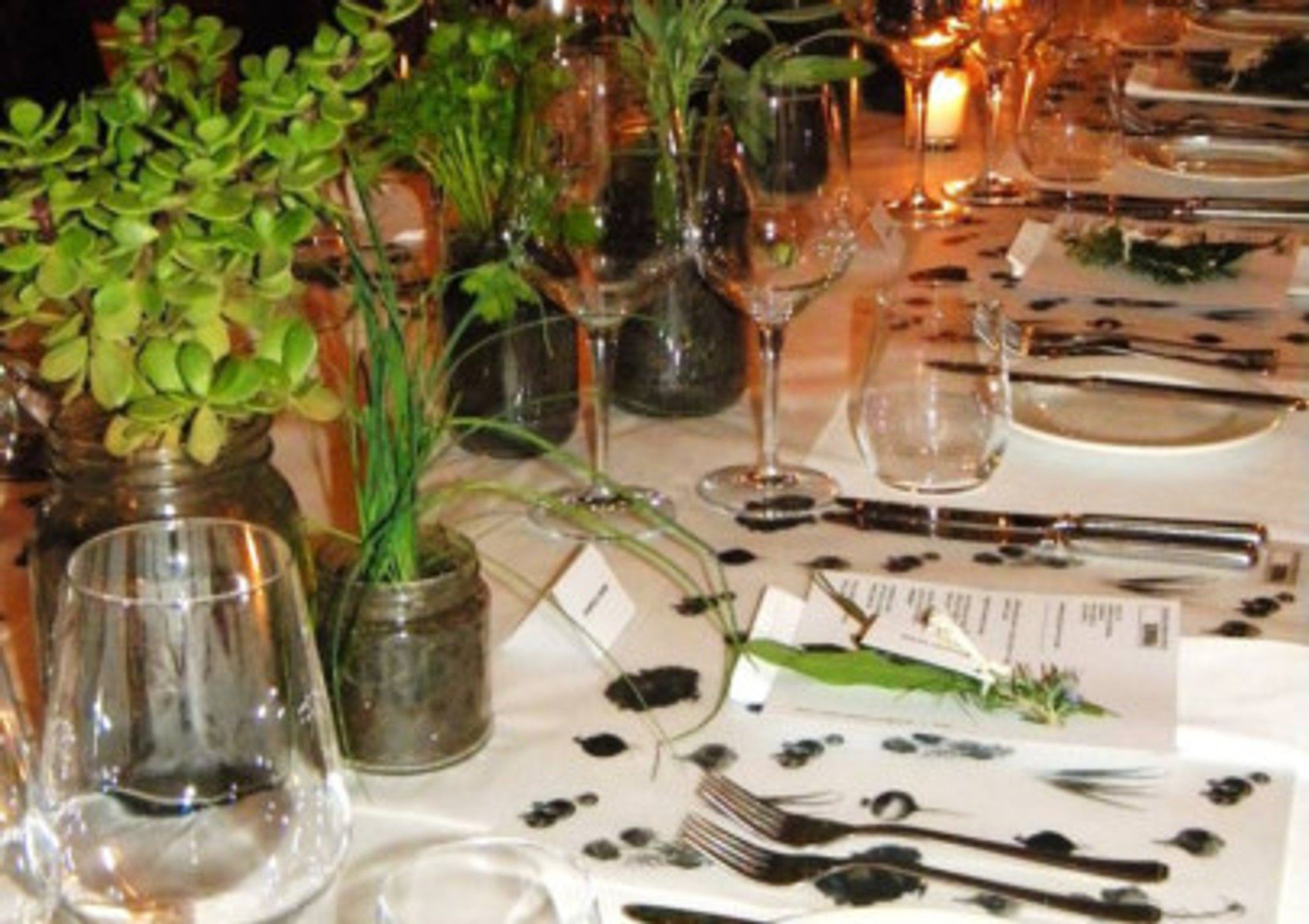 Foraging to design your dish